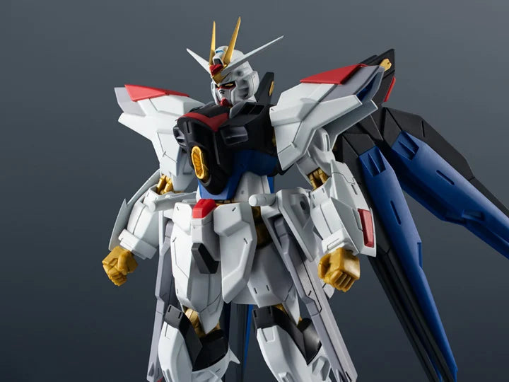 Mobile Suit Gundam SEED Freedom Gundam Universe ZGMF/A-262B Strike Fre ...