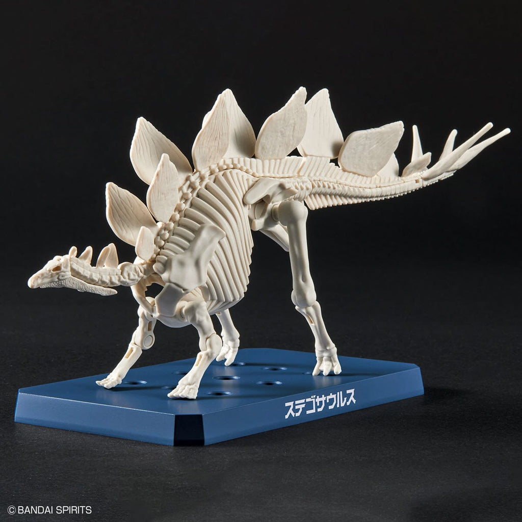 Plannosaurus Stegosaurus Model Kit– USA Gundam Store