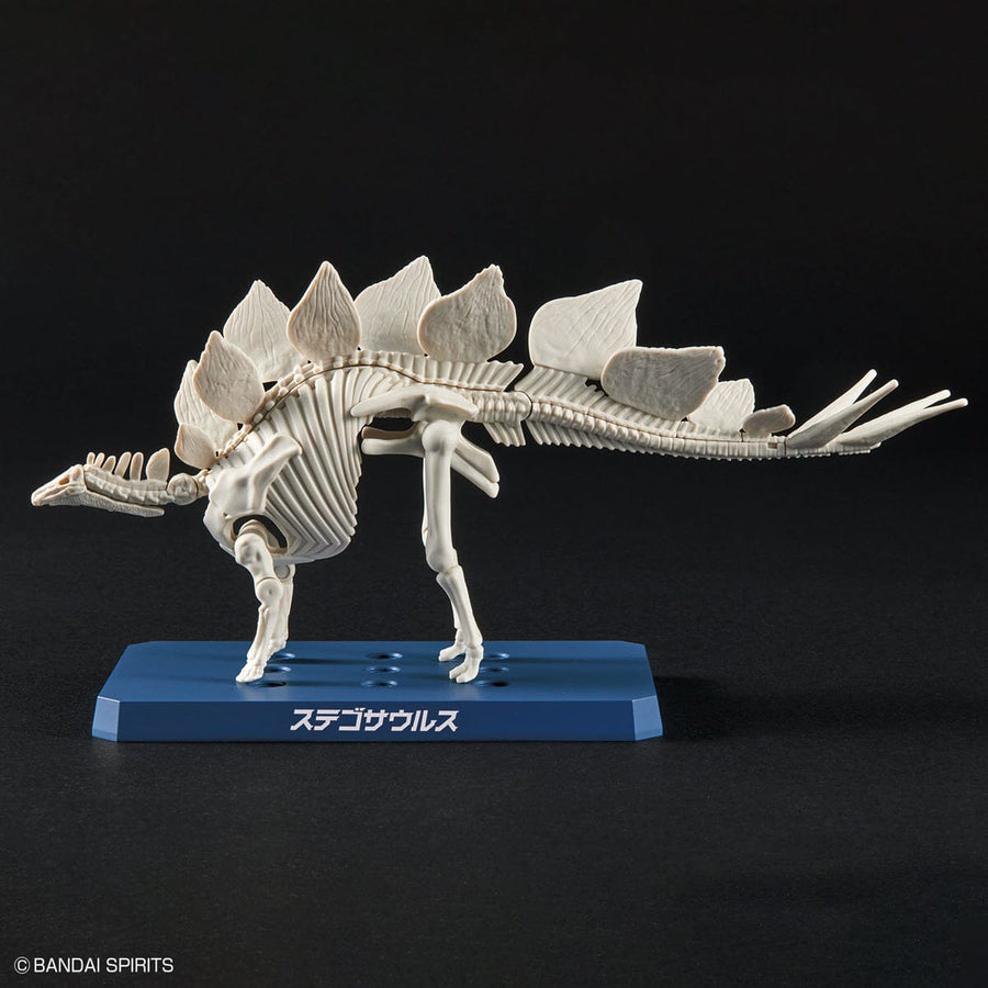 Plannosaurus Stegosaurus Model Kit– USA Gundam Store