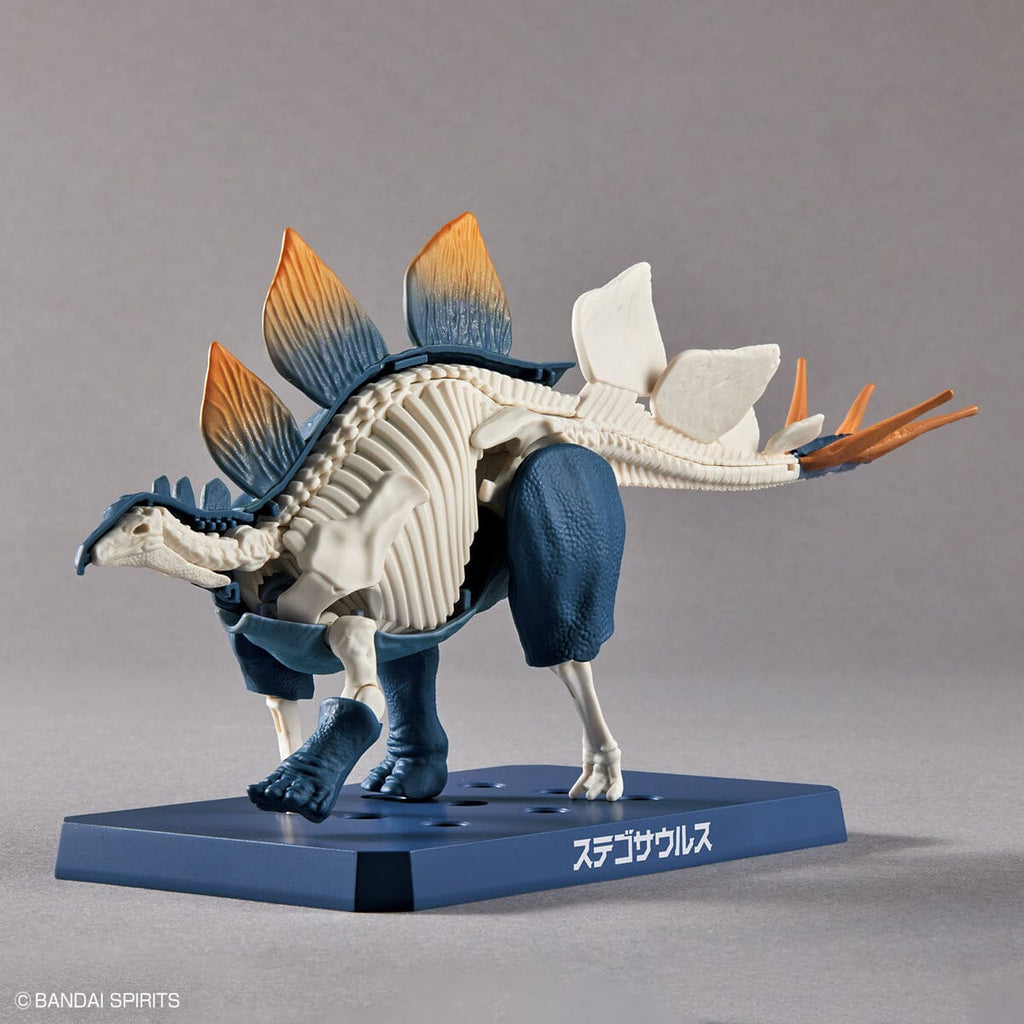 Plannosaurus Stegosaurus Model Kit– USA Gundam Store